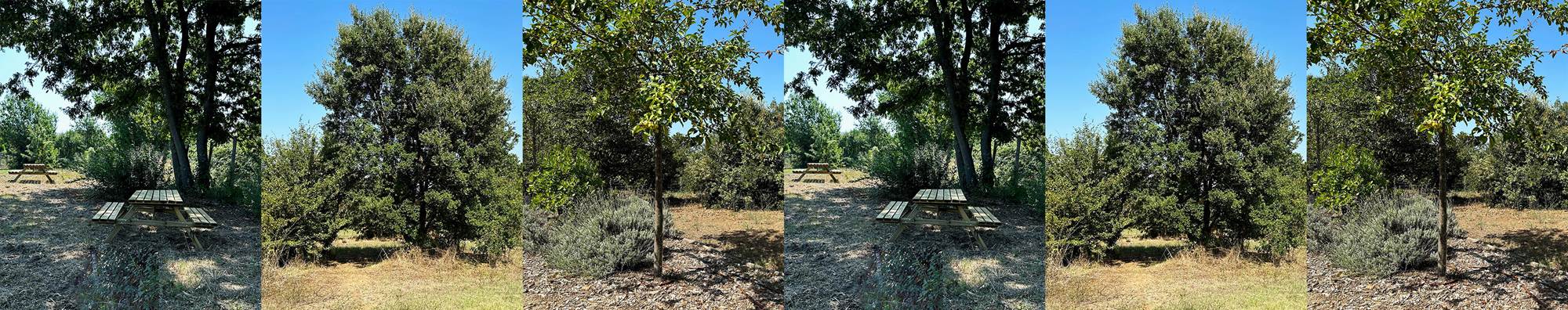 Shuttle Bus Eur Fermi| McArthurGlen Castel Romano Designer Outlet