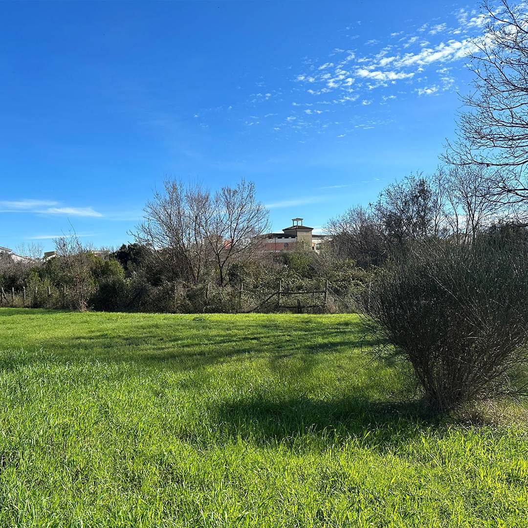 Castel Romano | Designer Outlet | WWF Oasis