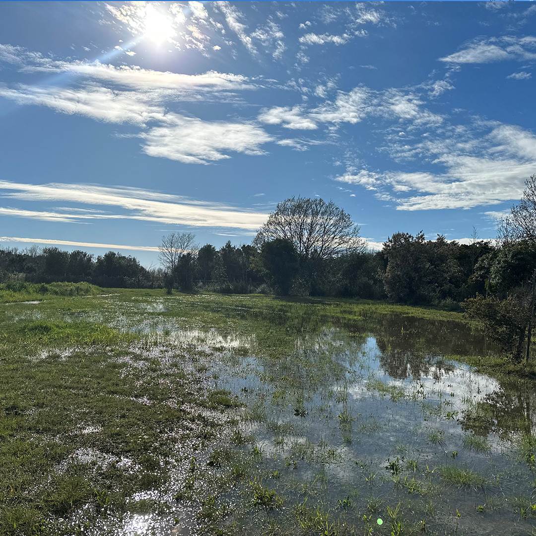 Castel Romano | Designer Outlet | WWF Oasis