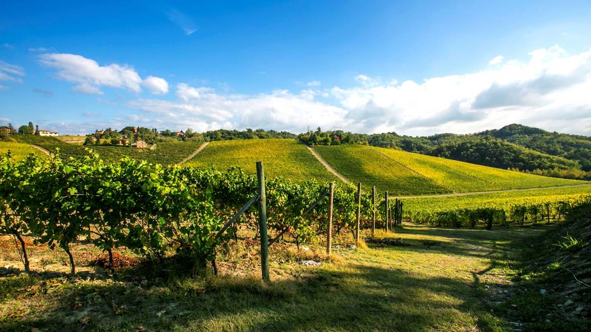 Serravalle Designer Outlet | Le plus grand Designer Outlet d'Europe.