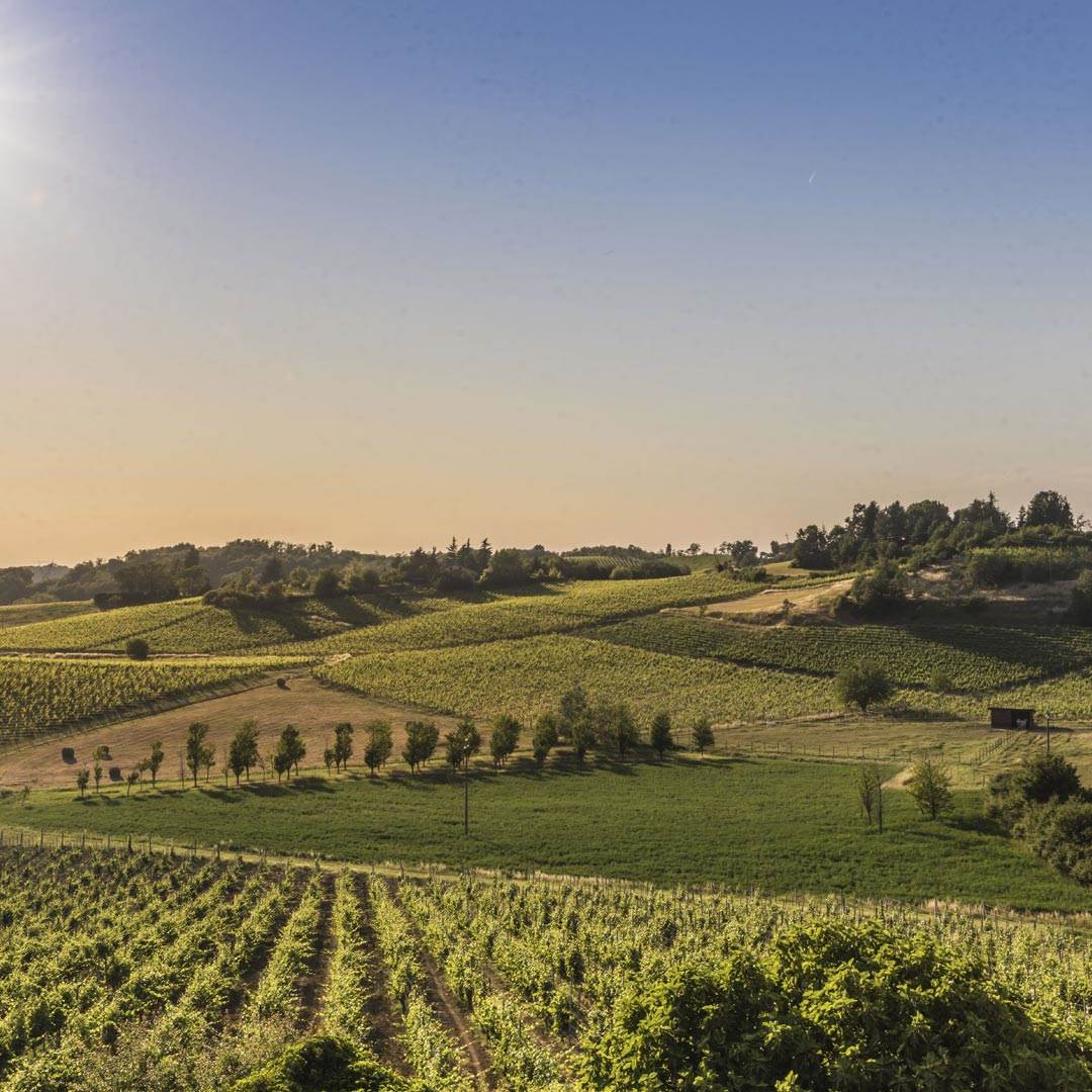 Services | McArthurGlen Serravalle Designer Outlet